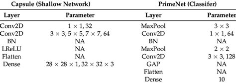 Capsule And Classifier Model Configuration Information Download Scientific Diagram