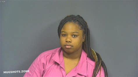 Anderson Aundra Ashun 01262025 Desoto County Mugshots Zone