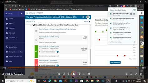 Np Ex19 4a Excel Module 4 Sam Project A Alanis Parks Department