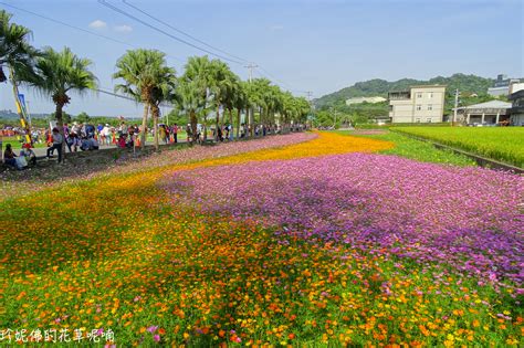 2019桃園花彩節 大溪花區 2019 11 09 2019 11 17 景點 親子旅遊 KidsPlay親子就醬玩