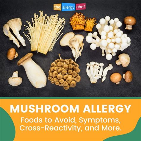 Mushroom Allergy Symptoms Foods To Avoid Mold Info And More The