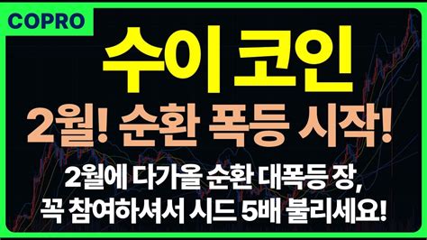 수이 코인 전망 2월 순환 대폭등 장 시작합니다 이 가격 확인하시고 꼭 참여하셔서 시드 5배 불릴 기회 놓치지 마세요 Youtube
