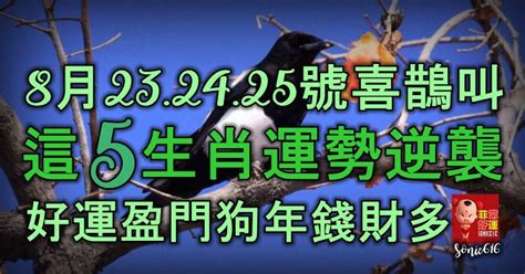 8月232425號喜鵲叫，這5生肖運勢逆襲，好運盈門，狗年錢財多！ Peekme