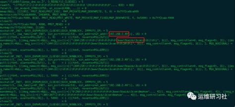 Nginx域名解析流程，源码分析运维研习社 商业新知