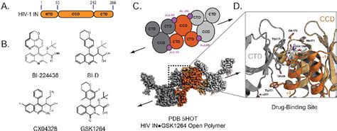 Figure 1 From Allosteric Hiv Integrase Inhibitors Promote Formation Of Inactive Branched
