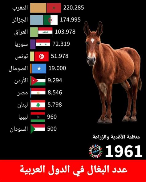 العرب وإنفاقهم اللامحدود على التسليح من 1960 إلى 2020 Source
