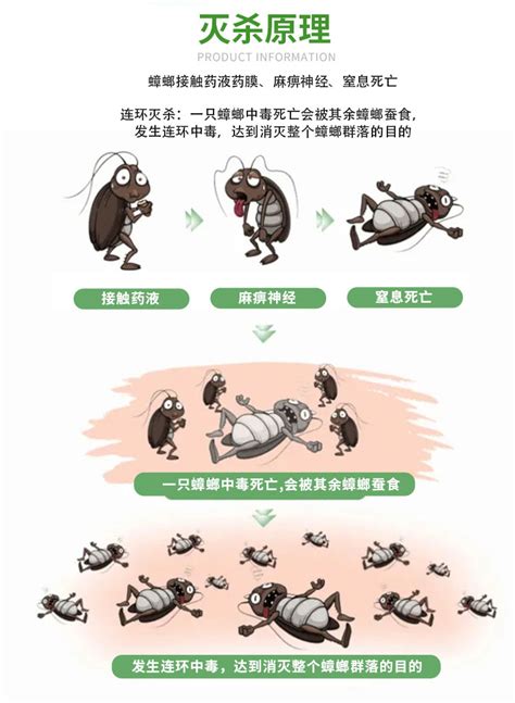 海珍威蟑螂药苍蝇药生产厂家