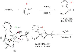 The Site Selectivity And Mechanism Of Pd Catalyzed C Sp 2 H Arylation