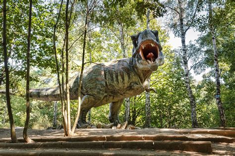 It Seems There Were Too Many Meat Eating Dinosaurs This May Be The