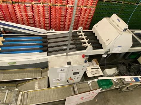 Compac 4 Lines Avocado Sorting Line Fruit Graders