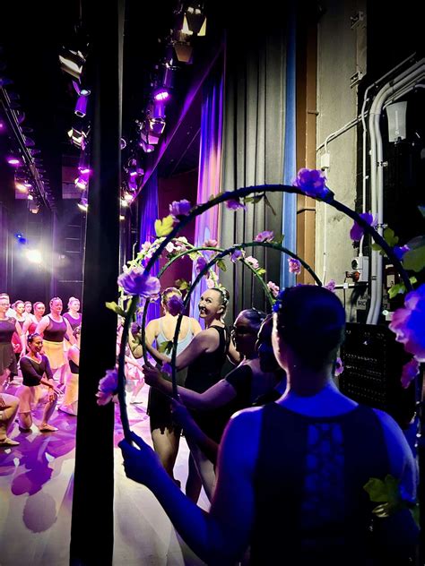 Intermediate Adult Ballet Classes Elancé Adult Ballet School