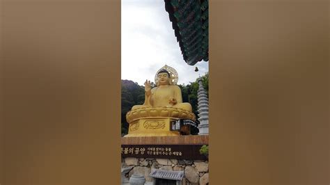 하루 한번만 들어라소원이 실현된다 Youtube