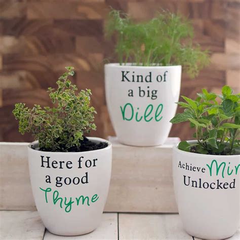 How To Make Custom Flower Pots With Cricut Plant Pot Design Plant