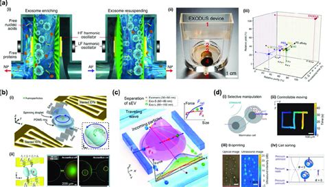 Manipulations Of Extracellular Vesicles A Isolation Of Exosomes From Download Scientific