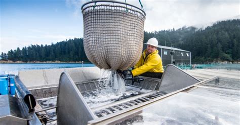 Muka Tangata Workforce Development Council