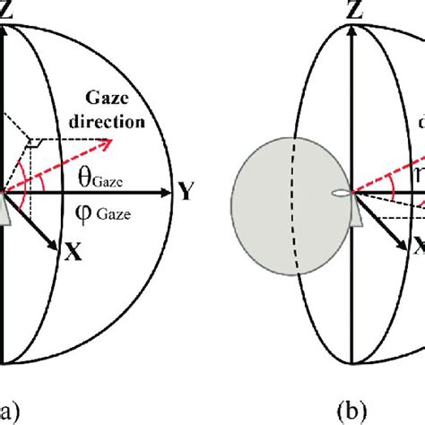 The Gaze Direction With Referral To The Human Face In The Right Hand Download Scientific