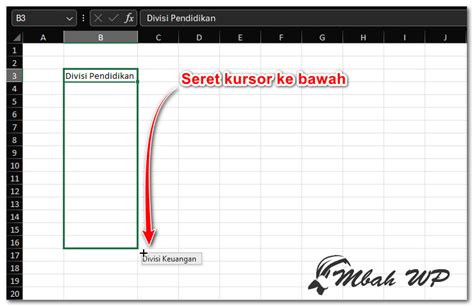 Cara Menggunakan Custom List Di Excel
