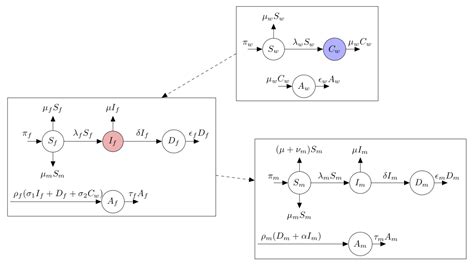 Tikz Pgf Flow Diagram From Geogebra Tex Latex Stack Exchange
