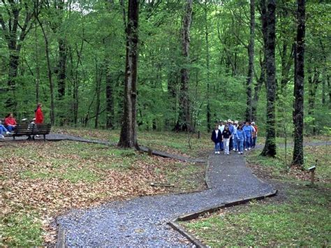 Louisiana State Arboretum State Preservation Area Explore Louisiana