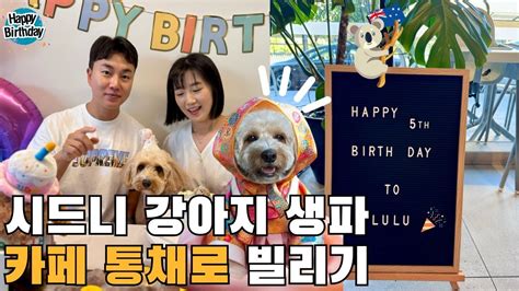 🇦🇺[시드니] 강아지 생파에 1000불 쓰기 I 카페 통채로 빌려서 파티 Ep 12 Youtube