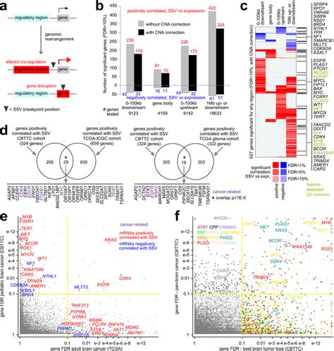Genes With Altered Expression Associated With Nearby Ssv Breakpoints A