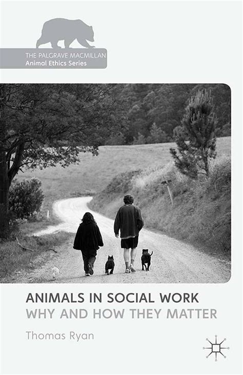 Animals In Social Work Why And How They Matter The Palgrave Macmillan