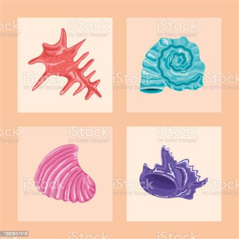 아이콘 바다 껍질 갑각류에 대한 스톡 벡터 아트 및 기타 이미지 갑각류 껍데기 나선형 Istock