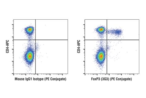 Foxp3 Transcription Factor Fixation Permeabilization Kit Cell Signaling Technology