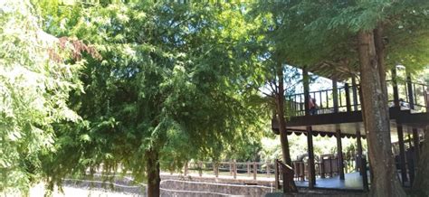 樟樹樟湖環狀步道 銀河洞越嶺步道 健行筆記