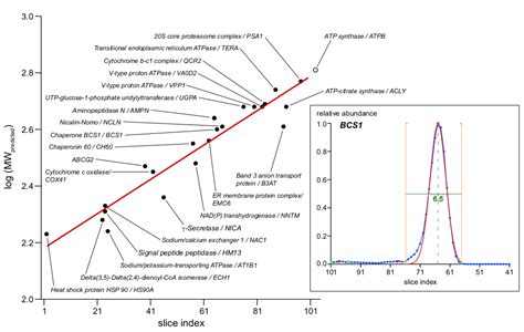 High Resolution Complexome Profiling By Cryoslicing Bn Ms Analysis Scientific Article Protocol