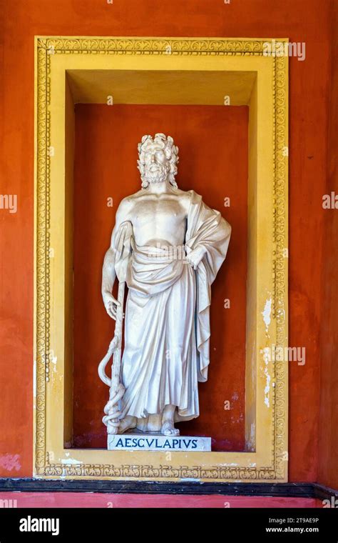 Statue Of Asclepius God Of Medicine In The Leon Dufourny Gymnasium