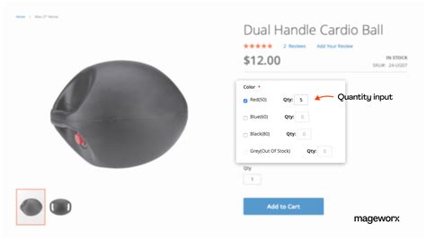 磊 Magento 2 Product Options Suite Magento 2 Custom Option Extension