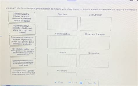 [solved] Drag Each Label Into The Appropriate Position To Indicate Which Course Hero