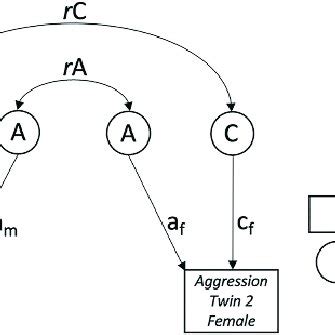 3 Twin Design With Opposite Sex Twins Similarities Between Dizygotic Download Scientific