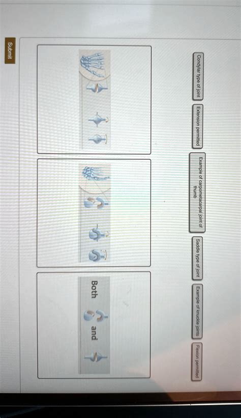 Condylar Type Of Joint Extension Permitted Example Of Carpometacarpal Joint Of Thumb Saddle Type