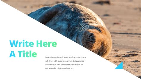 Seal Outline Ppt Presentationlifestyletemplates