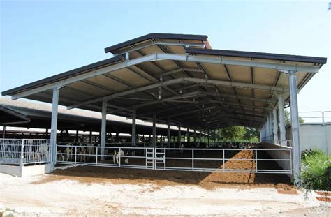 Steel Cattle Shed Bull Shed Cow House Barn Durable Modern
