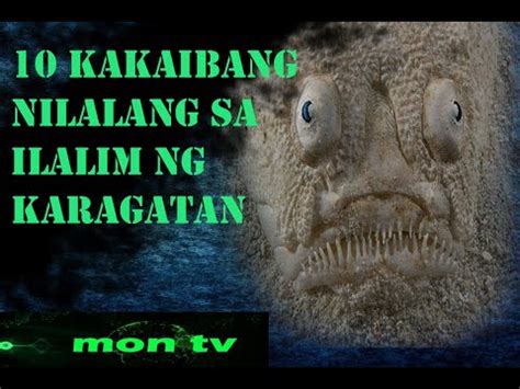 10 Kakaibang Nilalang Sa Kailaliman Ng Karagatan YouTube