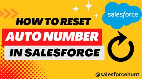 Salesforce Admin How To Reset An Auto Number Field In Salesforce