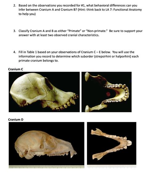 Solved Introduction In This Lab Activity You Will Apply What Chegg Com
