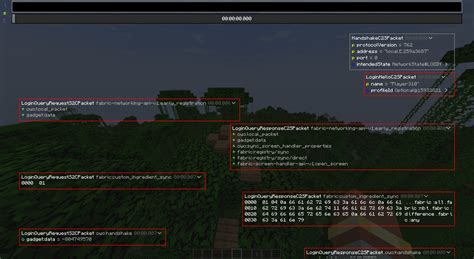 Packet Dumping Wisp Forest Docs
