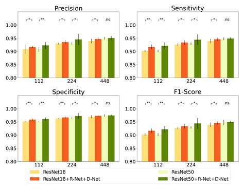 Deep Learning Based Multi Loss Multi Class Classification Medical