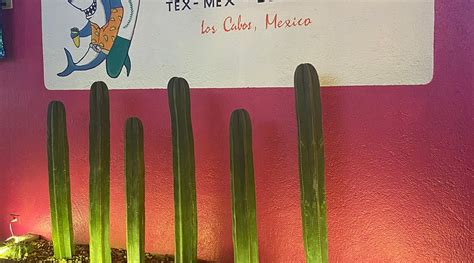 Texican Restaurant Cabo San Lucas Restaurant Reviews Photos And Phone