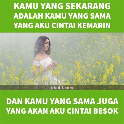 235 Kata Kata Romantis Buat Istri Tercinta Dan Solehah ~