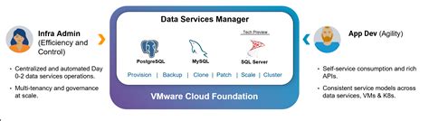 Dbaas For Private Cloud Vmware Data Services Manager For Vmware Cloud