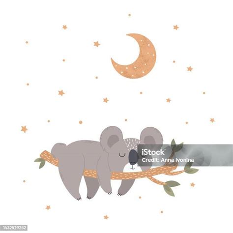 한밤하늘의 나뭇 가지에서 자고있는 귀여운 작은 코알라 흰색 배경에 포스터 패브릭 프린트 및 어린이 카드를위한 어린이 일러스트레이션 벡터 곰에 대한 스톡 벡터 아트 및 기타
