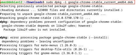 How To Install Packages On Debian 12 Linuxways