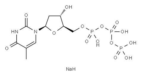 Deoxythymidine Triphosphate Cas 18423 43 3 Haihang Industry