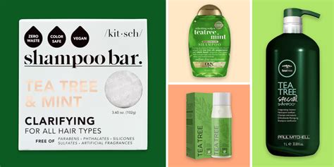 12 Best Tea Tree Shampoos To Soothe Scalps