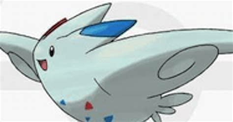 Togekiss Moveset And Build Pokemon Sword Shield Gamewith